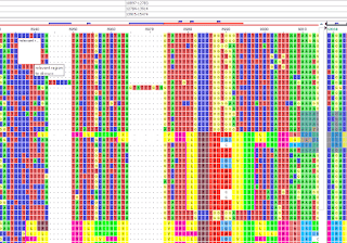 Data Structure Alignment - Computer Alignment