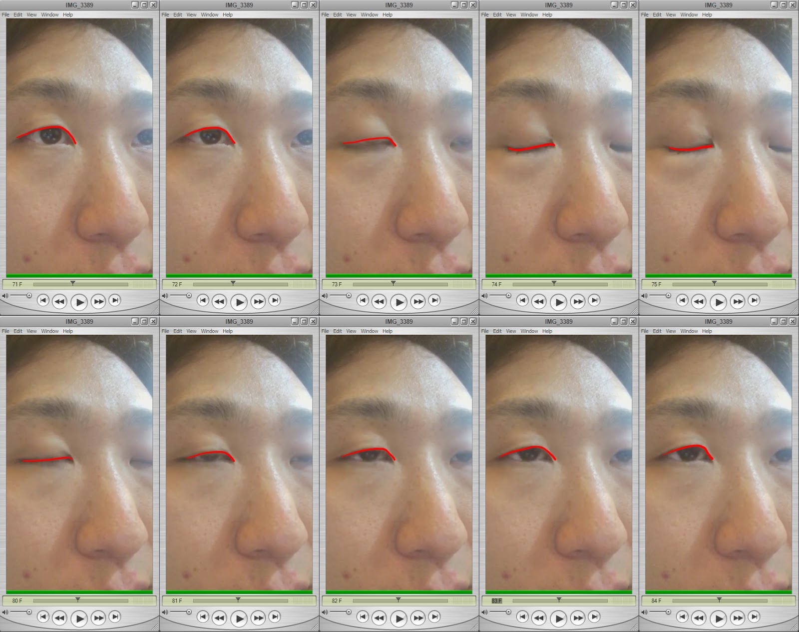 AlgoMalgo Animation Study Blinking Eye algomalgo-animation-study-blinking-eye