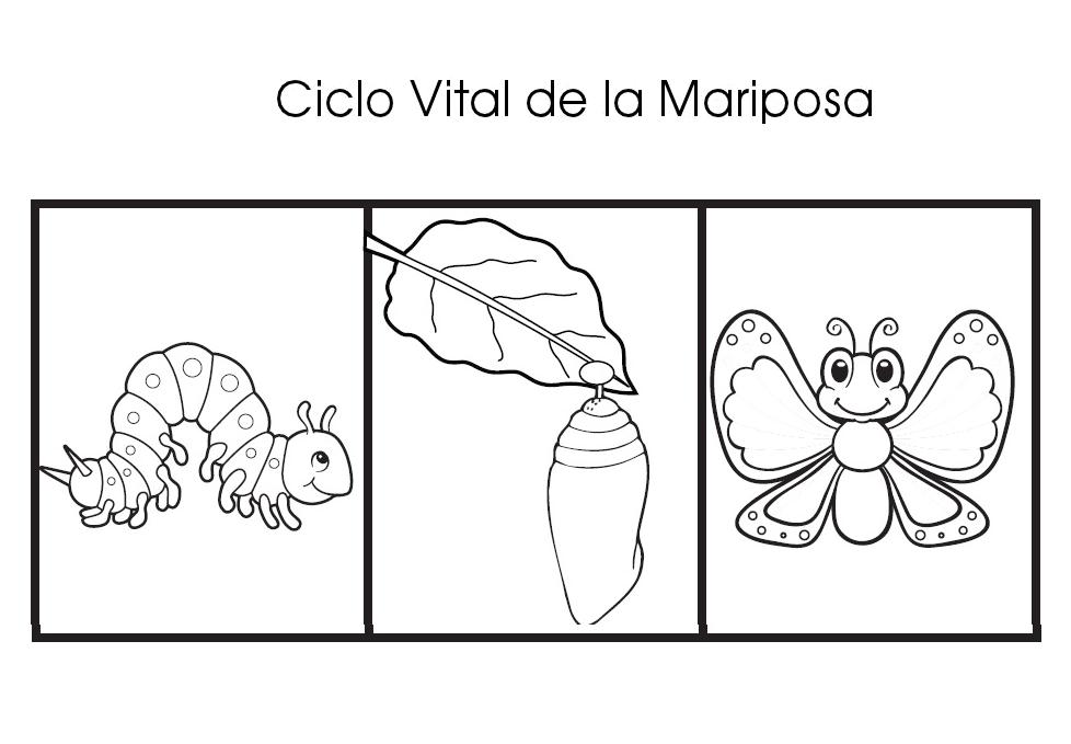 Menta Más Chocolate - RECURSOS y ACTIVIDADES PARA EDUCACIÓN INFANTIL ...