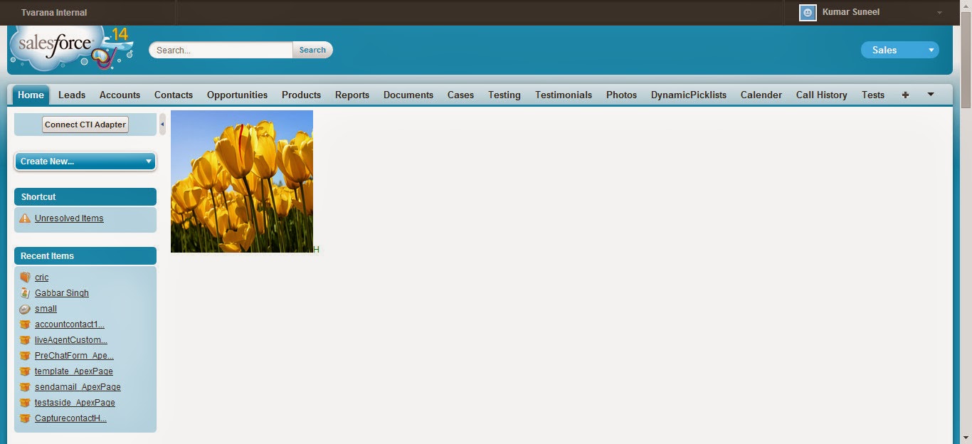 Salesforce Globe For You - Salesforce Shorts : SlideShow in Visualforce ... Salesforce Globe For You - Salesforce Shorts : SlideShow in Visualforce ...