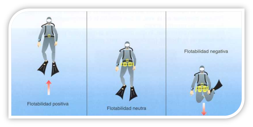 Greenwichdiving: Flotabilidad neutra