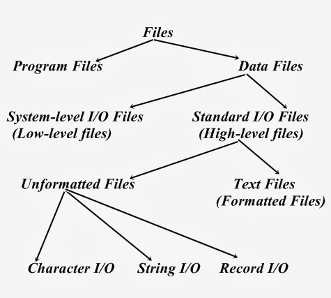 C File Input/Output ~ C Programming