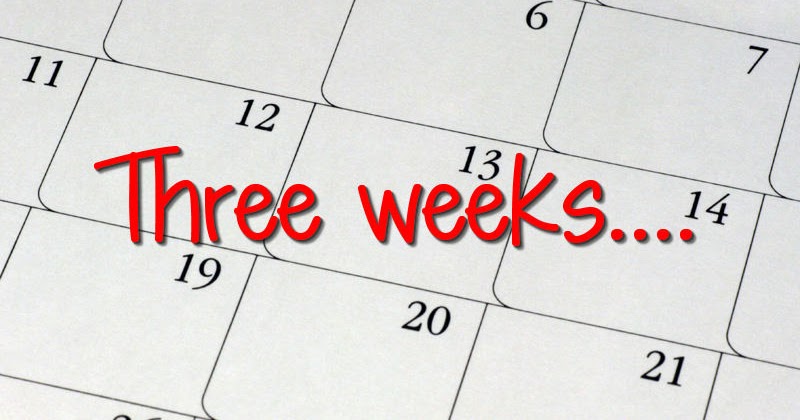 The Things I Ponder Three Weeks the-things-i-ponder-three-weeks