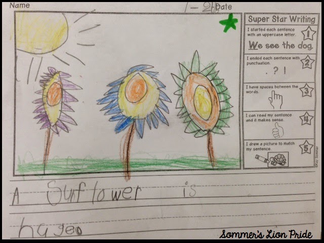 More Sunflowers! {and a FREEBIE!}