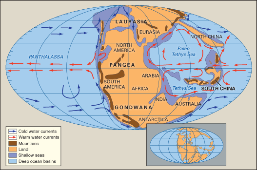 Triassic Period at emaze Presentation