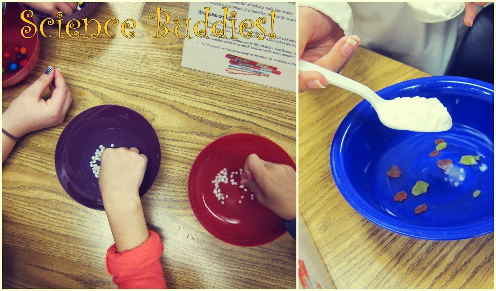 C Tracy s Fun First Graders Science Buddies And Different Energies c-tracy-s-fun-first-graders-science-buddies-and-different-energies
