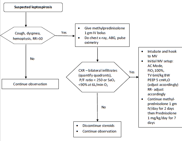 Public Health Resources: Algorithm for the Diagnosis and Management of Leptospirosis with ...