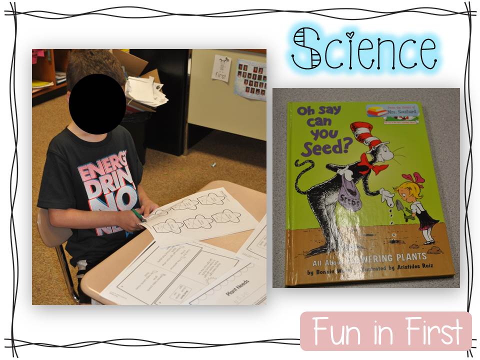 Come Be a Fly on My Wall - Fun in First