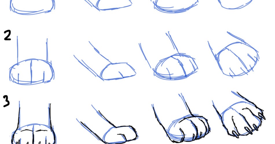 Savanna Williams: How to Draw Cat Paws Savanna Williams: How to Draw Cat Paws