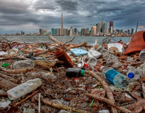 influencia del ser humano sobre los ecosistemas: contaminación de las ...