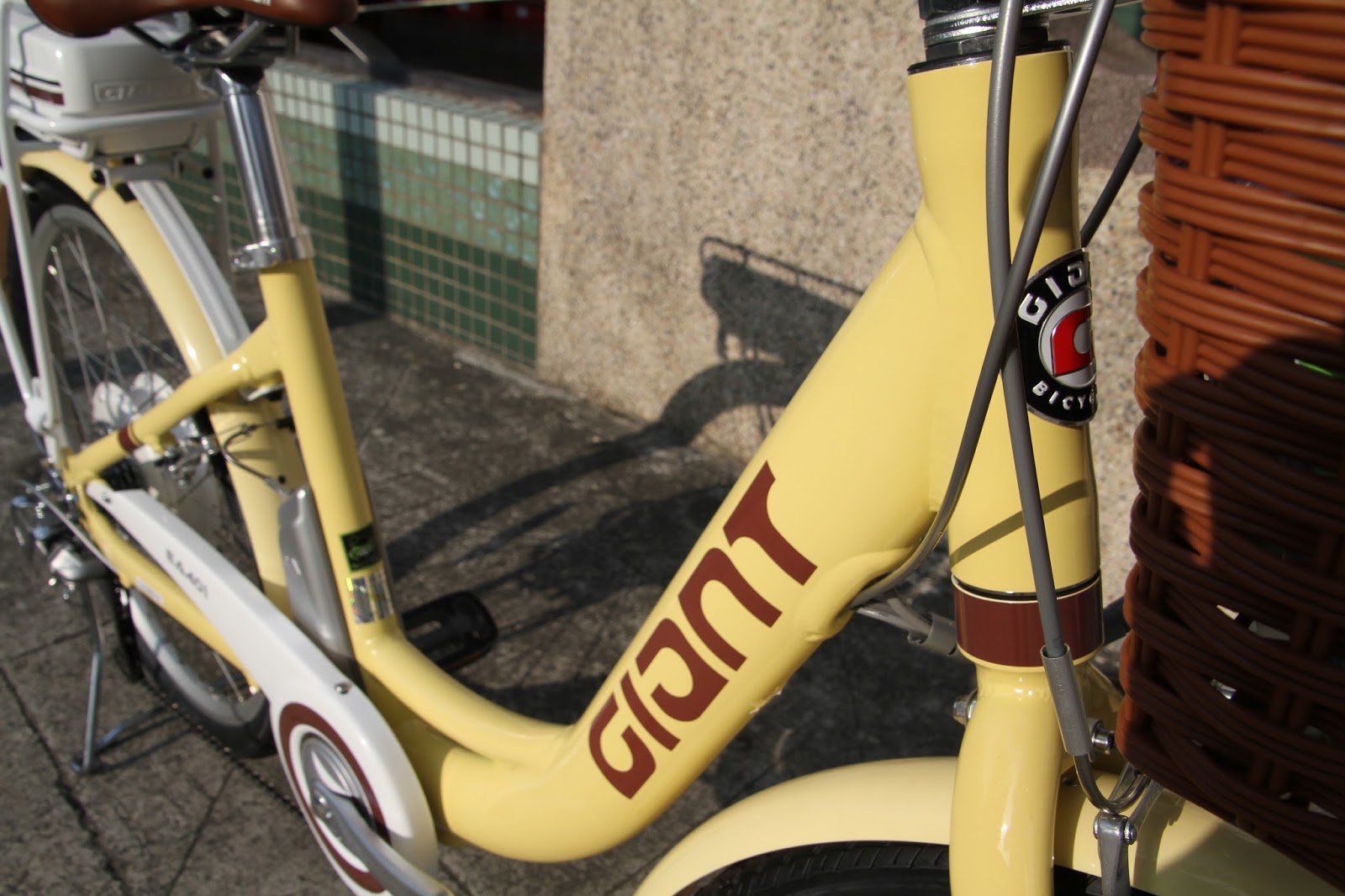 蛙不停: EA-401 電動輔助車