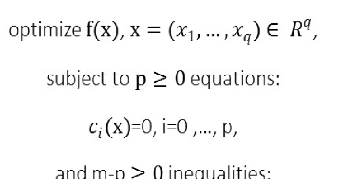 Static Optimization problems solved by CI