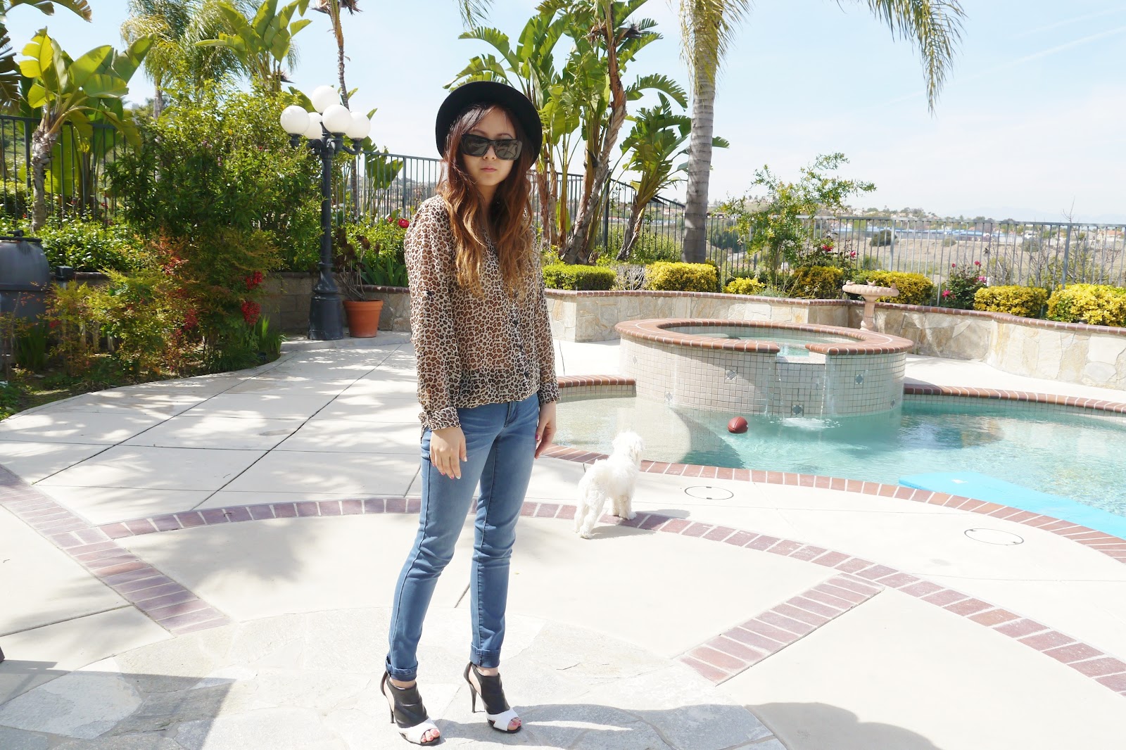 animal instincts. – ellenor kim