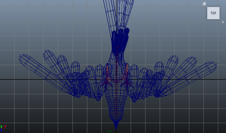 Animating Unfolding Bird Wings Nightime Designs animating-unfolding-bird-wings-nightime-designs