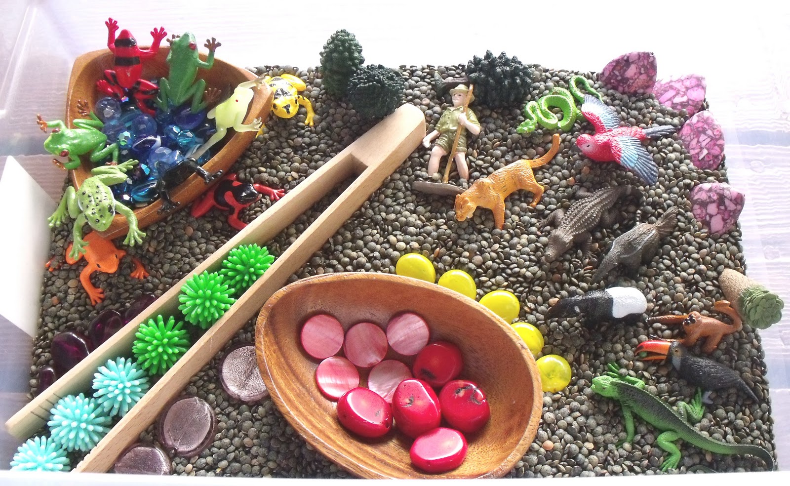 Nurturing Naters With Learning Activities At Home Rainforest Sensory nurturing-naters-with-learning-activities-at-home-rainforest-sensory