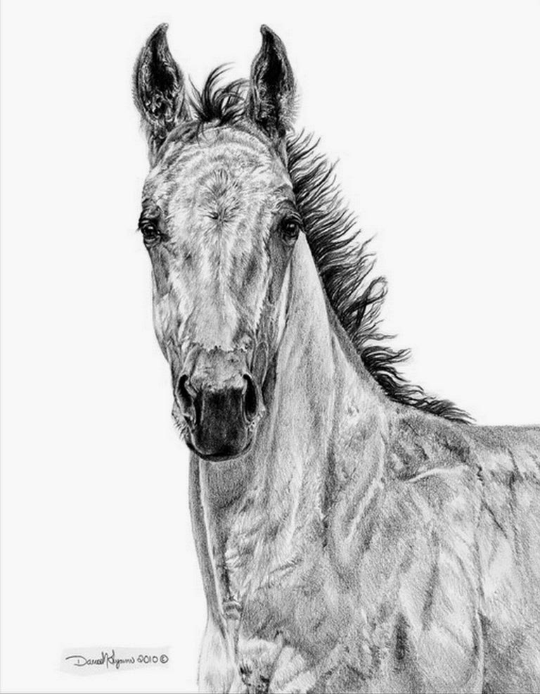 dibujos de caballos a carboncillo | Cuadros de caballos, Dibujo caballo lapiz, Caballos a lapiz