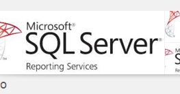 Web Snippets: Build reports using report builder