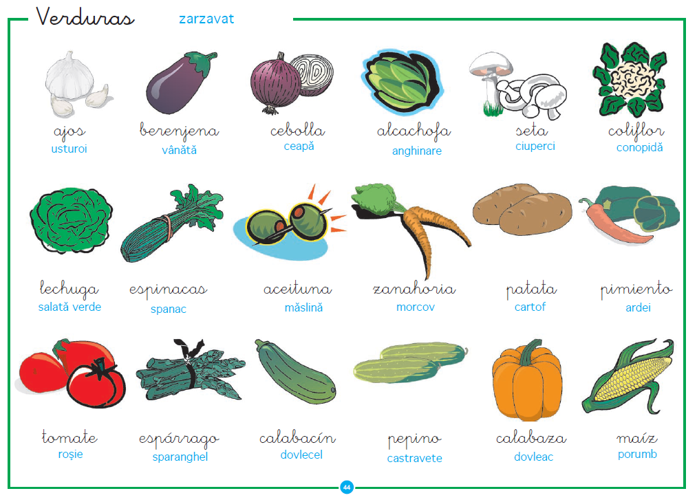 Verduras en español - Imagui