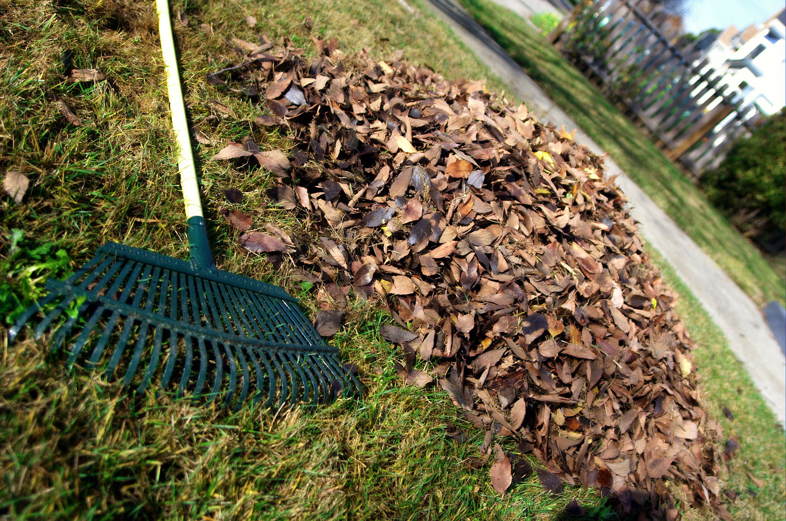 4 Things To Do In Fall For A Better Spring Garden Proverbs 31 Woman 4-things-to-do-in-fall-for-a-better-spring-garden-proverbs-31-woman