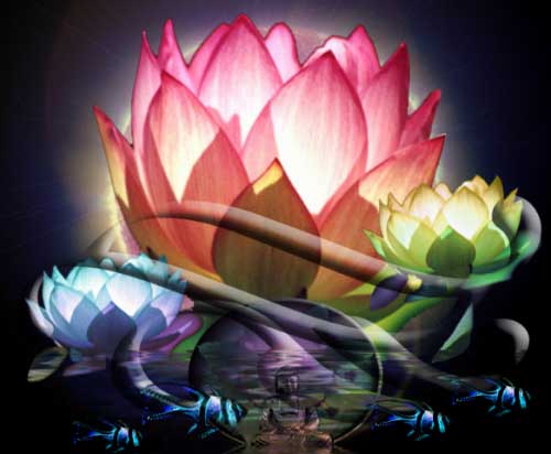 MAGICK RIVER To A Hilarious Festival Of Lights magick-river-to-a-hilarious-festival-of-lights