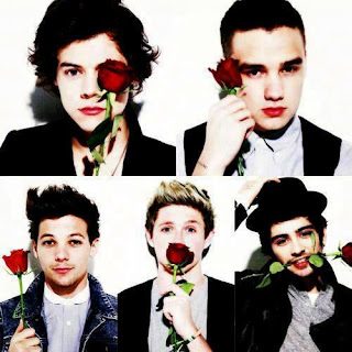 Cosas que muchas Directioners amamos de One Direction