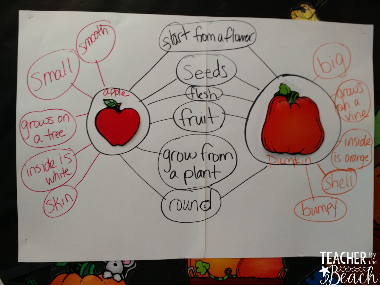 Pumpkin Week - Teacher by the Beach