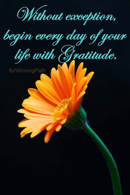 Winning Path: Quotes on Gratitude Winning Path: Quotes on Gratitude