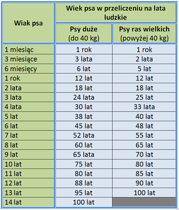Przeliczenia Lat U Ps w Wszystko O Pieskach przeliczenia-lat-u-ps-w-wszystko-o-pieskach