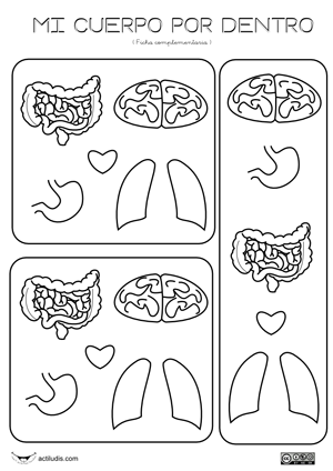 Partes internas del cuerpo humano para colorear - Imagui