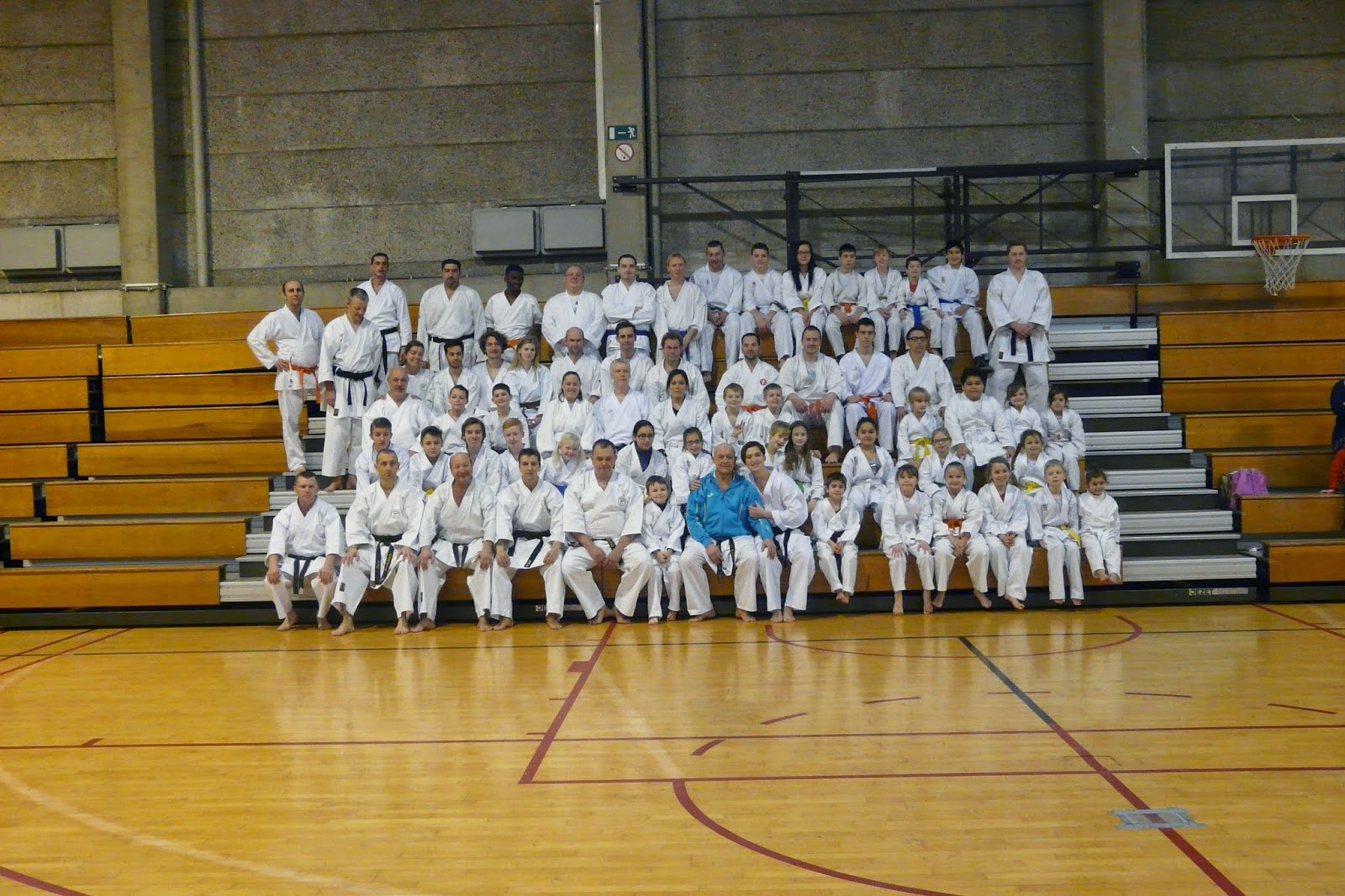 Pinando Ryu: Quelques photos du stage Franco Belli de janvier 2015 à Ransart ...