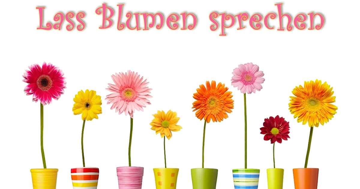 Anja's Karten- & Papierwelt: Lass Blumen sprechen - am Besten mit ... Anja's Karten- & Papierwelt: Lass Blumen sprechen - am Besten mit ...