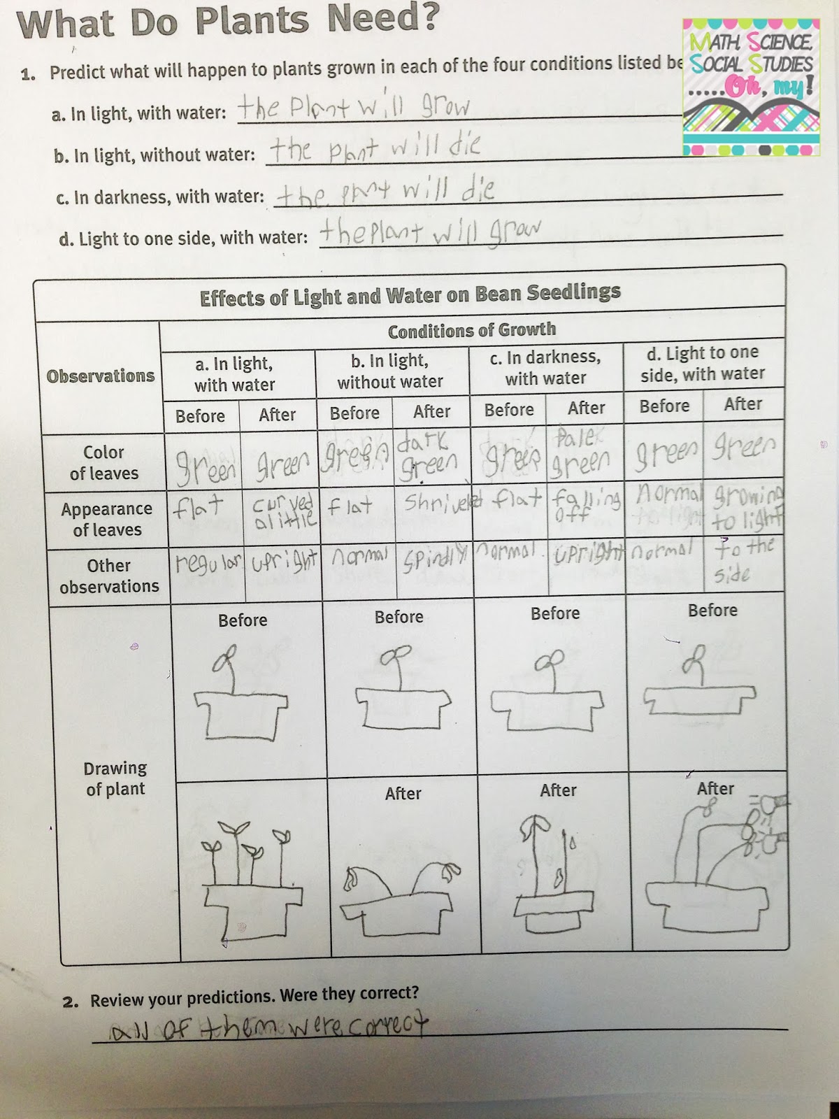 What do plants need to survive? | Technically Speaking with Amy