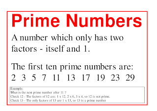 C Program To Find Prime Numbers Using Functions - adafilecloud