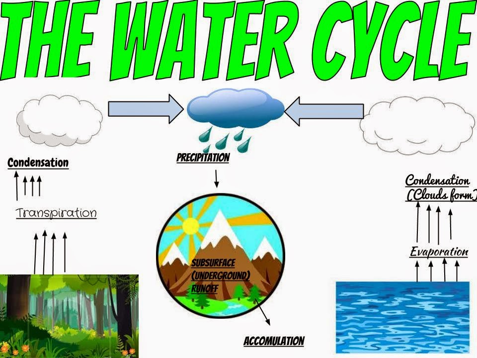 Mrs Smallwood s Science Classes The Water Cycle Posters mrs-smallwood-s-science-classes-the-water-cycle-posters