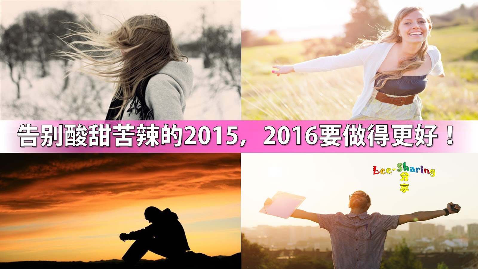 告别酸甜苦辣的2015，2016要做得更好！ - Leesharing