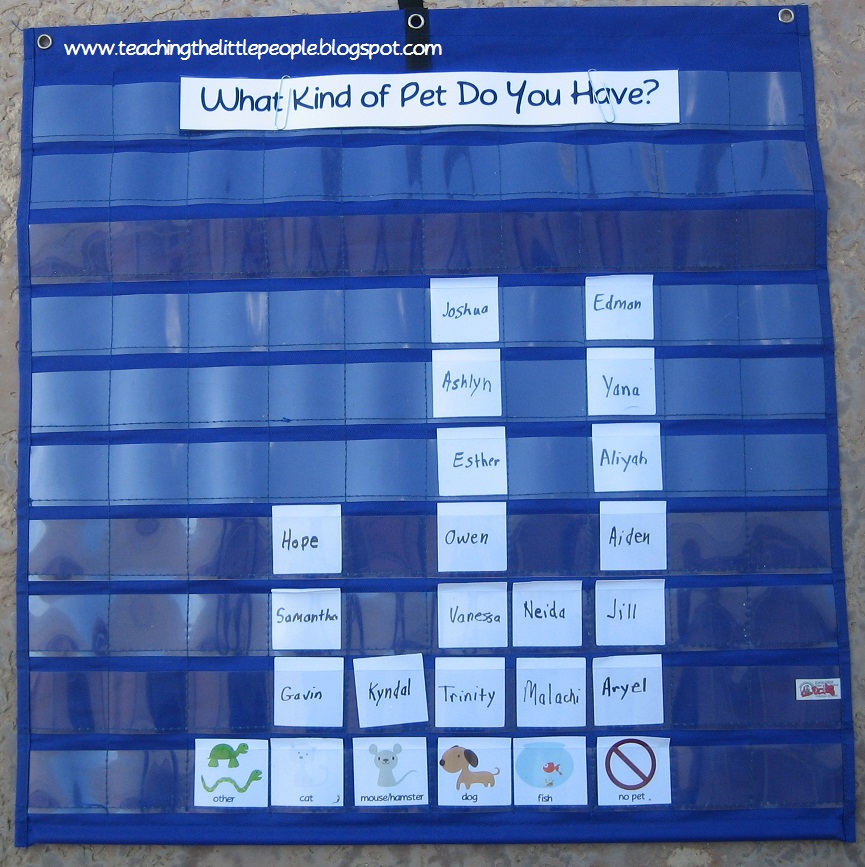 Teaching The Little People: Graphing Pets in Preschool