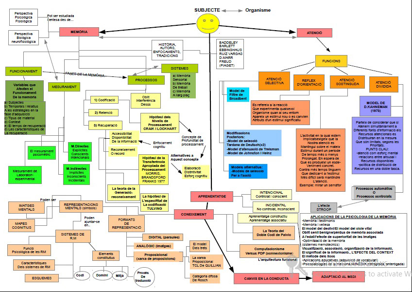 El Psico Búho: Apuntes Memoria y Atención: esquema El Psico Búho: Apuntes Memoria y Atención: esquema