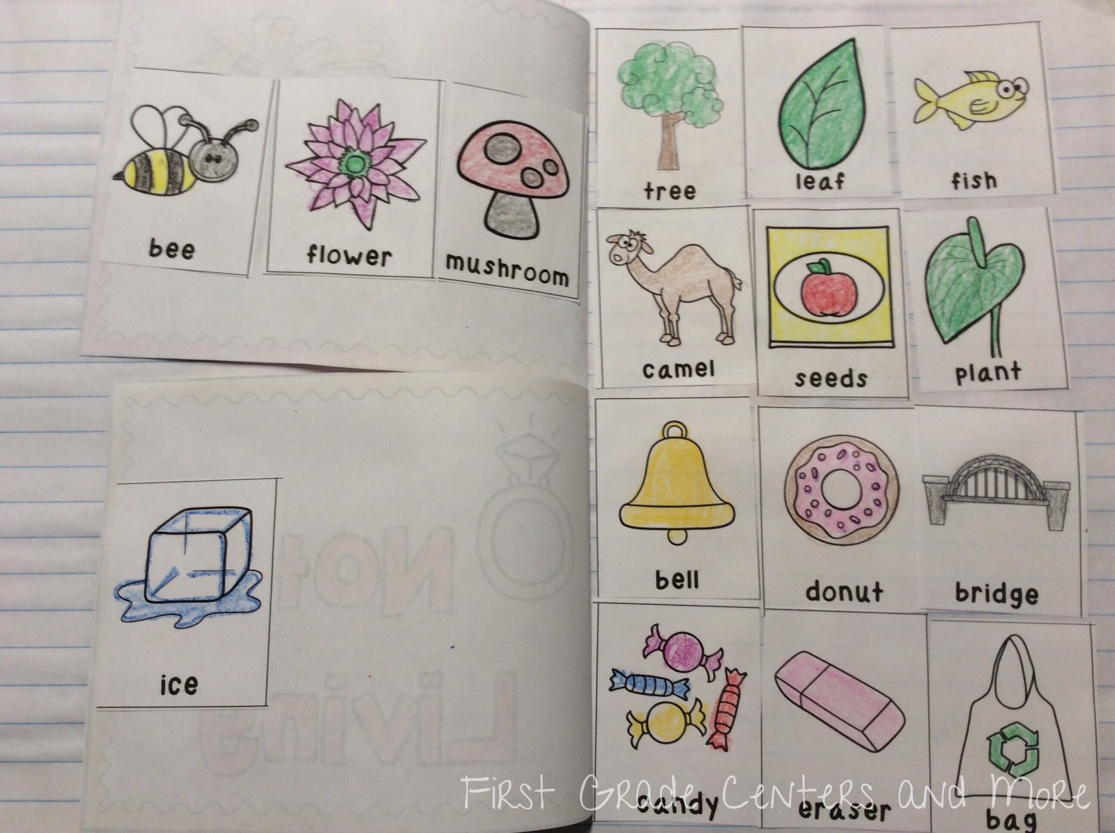 Interactive Science Notebook 1st Grade - First Grade Centers and More