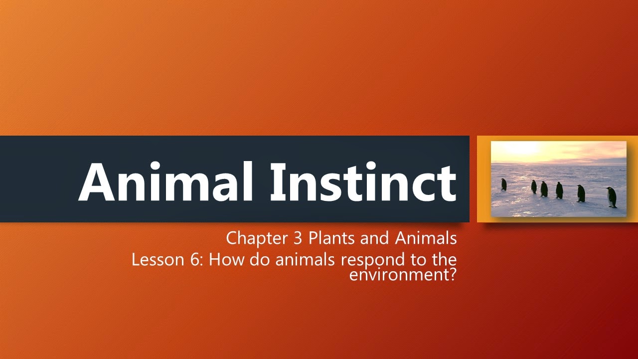 Ciencias 4to grado: Animal Instinct
