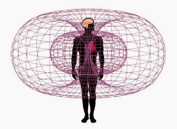 La geometría de la vida: El toroide ~ La Flor de la Vida - Medicina Integrativa