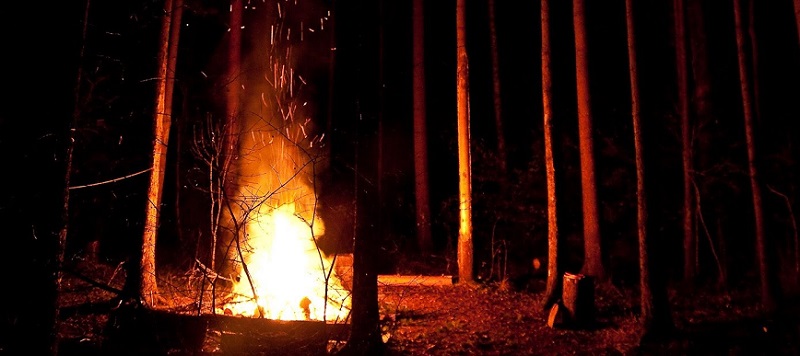 Hobo Camp Review: Hobo Camp Review --- Issue 41 --- Spring 2022 Hobo Camp Review: Hobo Camp Review --- Issue 41 --- Spring 2022