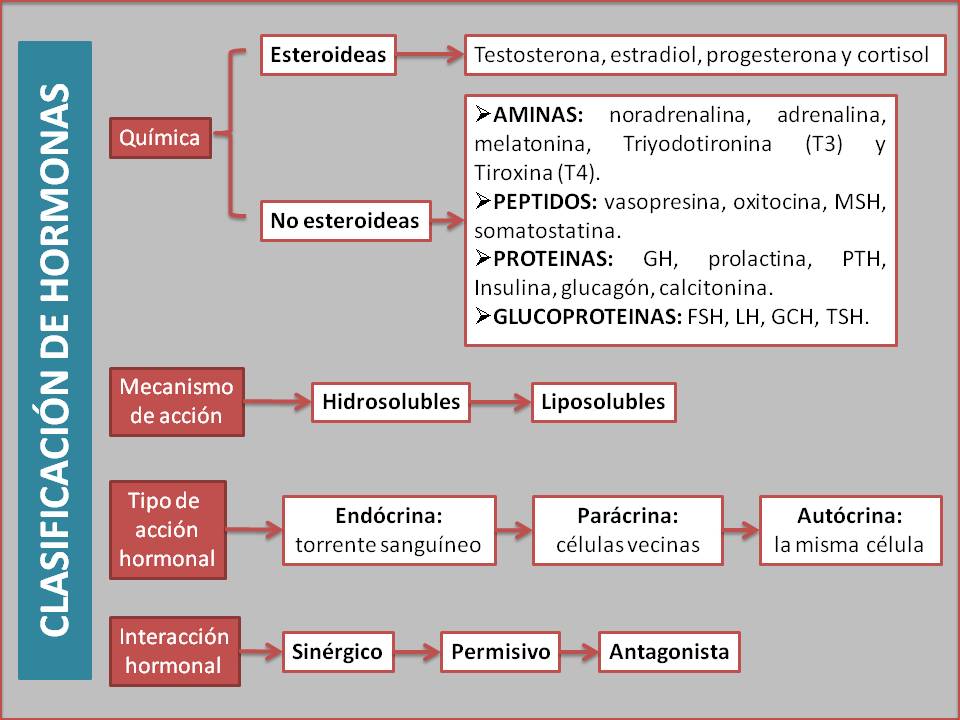 FISIOLOGÍA HUMANA: Clasificación de las hormonas FISIOLOGÍA HUMANA: Clasificación de las hormonas