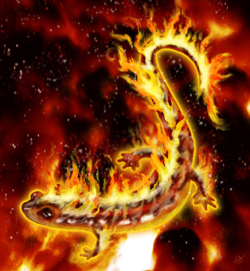 Novels By G Donald Cribbs Fire Salamander In The Packing House novels-by-g-donald-cribbs-fire-salamander-in-the-packing-house