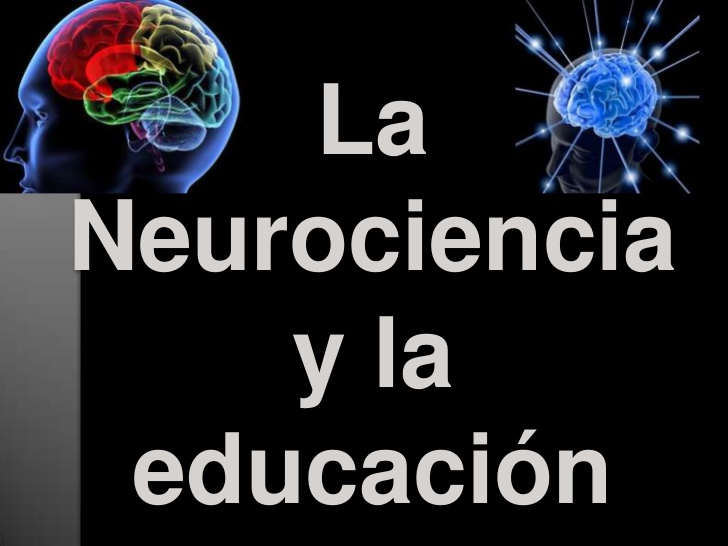 Estrategias Innovadoras en la Educación : La neurociencia y el hecho Educativo