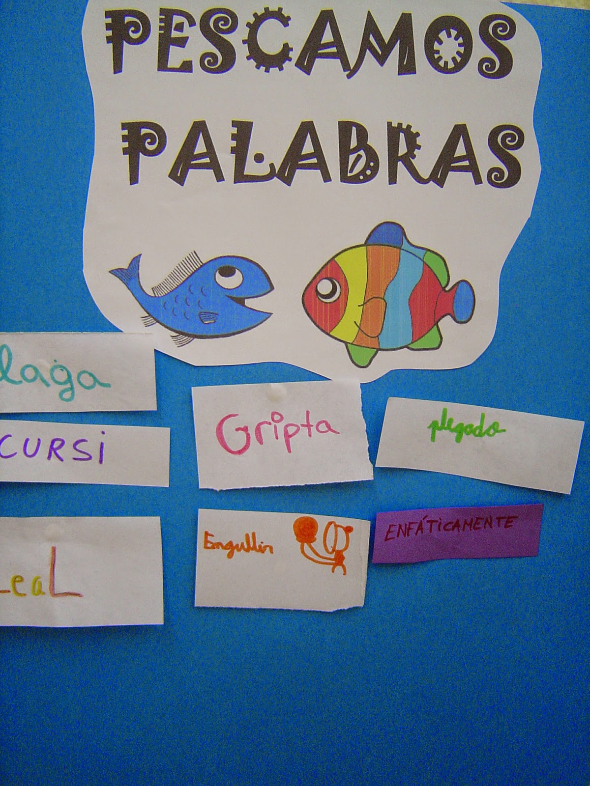 PTAL NEJAPA: PESCANDO PALABRAS