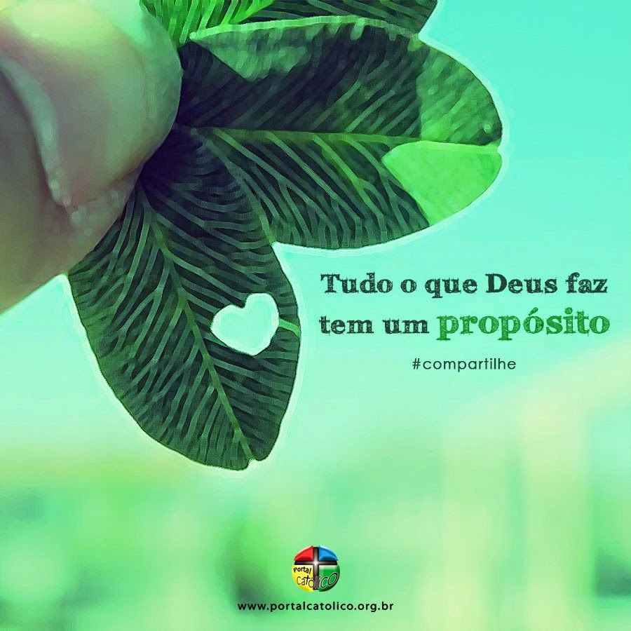 Blog do Ilivaldo Duarte: OS PROPÓSITOS DE DEUS Blog do Ilivaldo Duarte: OS PROPÓSITOS DE DEUS