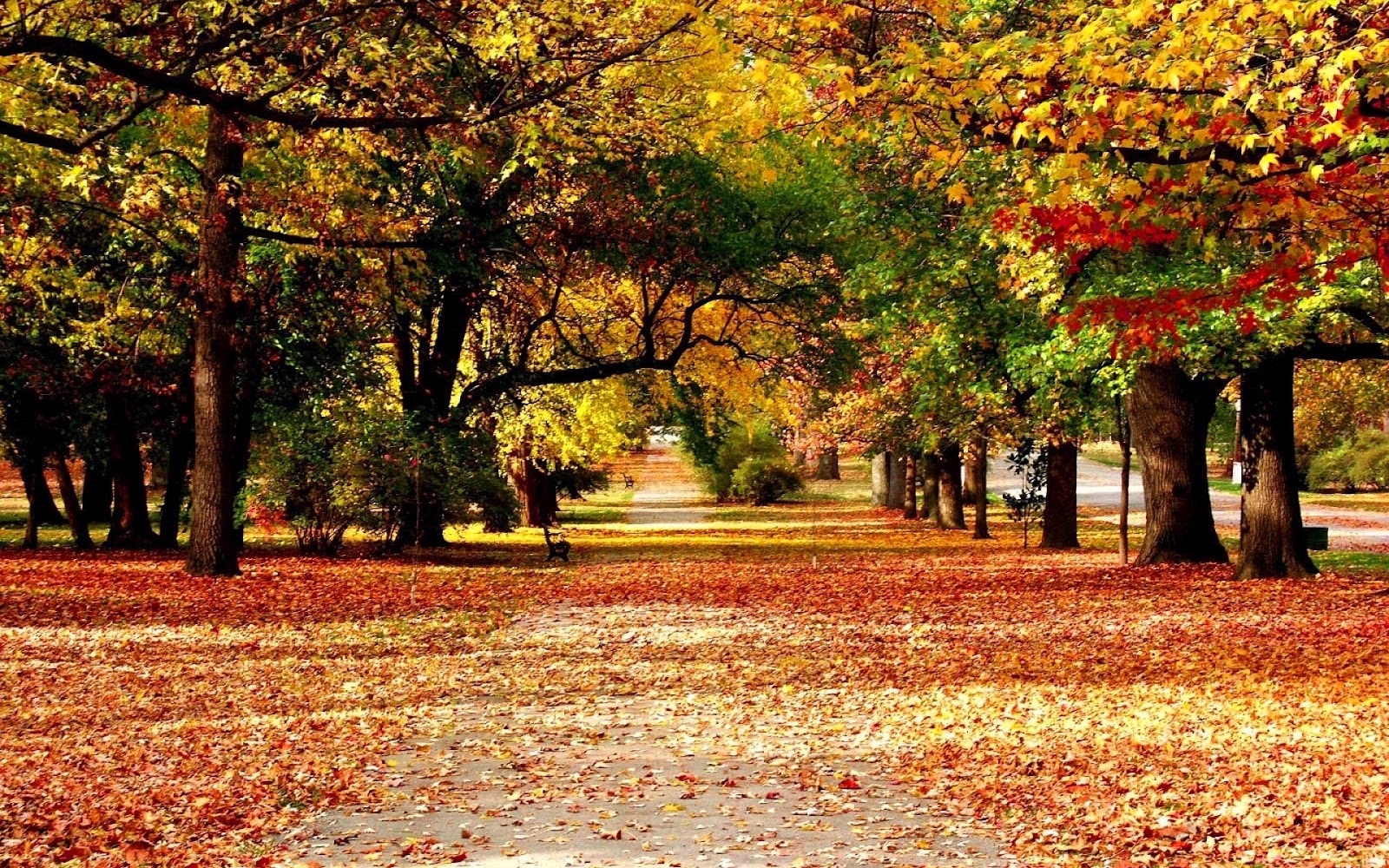 World Beautiful Sights Most Beautiful Place world-beautiful-sights-most-beautiful-place