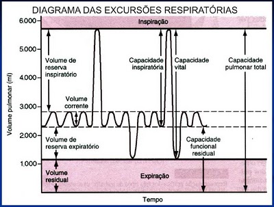 SaberFisio: VOLUMES E CAPACIDADES PULMONARES