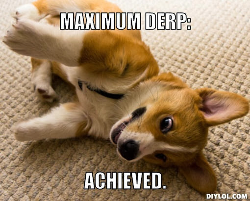 What Is DERP The Daily Corgi what-is-derp-the-daily-corgi